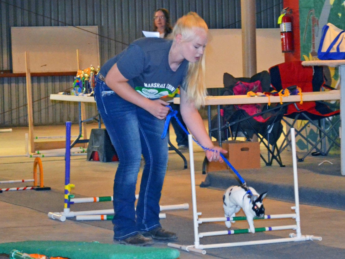 Rabbit and cavy show brought trophies and blue ribbons | News, Sports ...